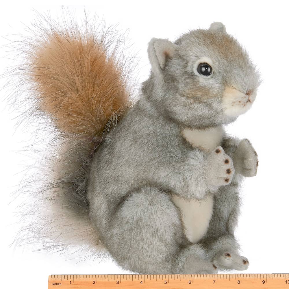 Peanut the Squirrel – Red Barn Company Store